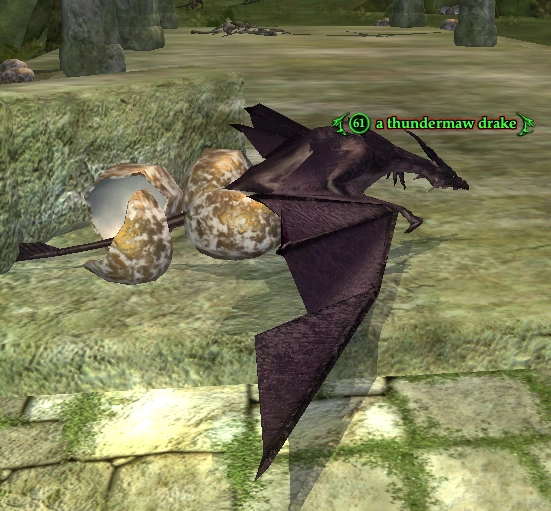 A thundermaw drake | EverQuest 2 Wiki | Fandom