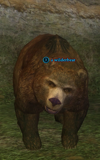 A wilderbear | EverQuest 2 Wiki | Fandom
