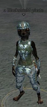 a Blackshield pirate | EverQuest 2 Wiki | Fandom