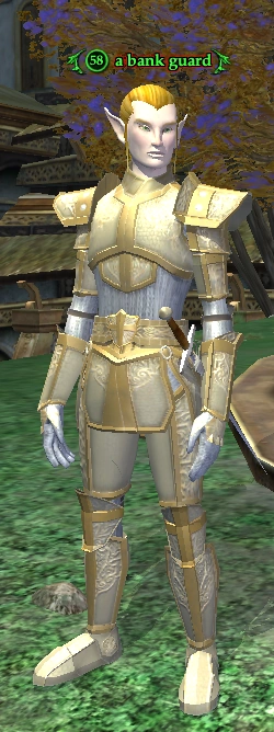 A bank guard | EverQuest 2 Wiki | Fandom