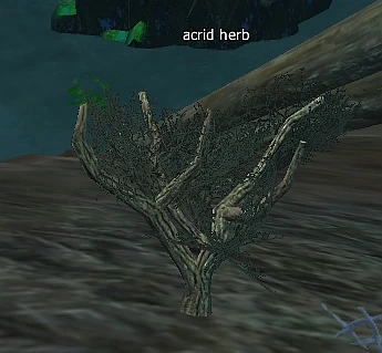 Guardian of Growf | EverQuest 2 Wiki | Fandom