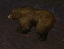 Tameable Bears | EverQuest 2 Wiki | Fandom