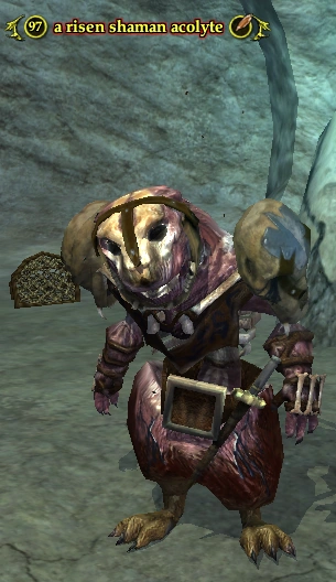 A risen shaman acolyte | EverQuest 2 Wiki | Fandom