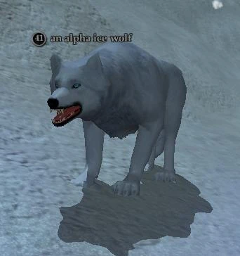 An alpha ice wolf | EverQuest 2 Wiki | Fandom