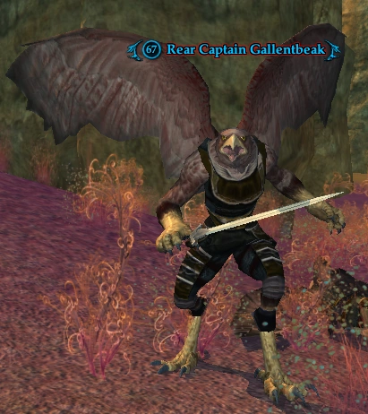 Rear Captain Gallentbeak | EverQuest 2 Wiki | Fandom