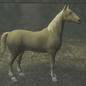 Horse | EverQuest 2 Wiki | Fandom