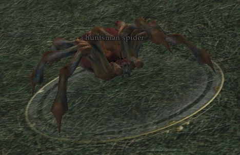A huntsman spider | EverQuest 2 Wiki | Fandom