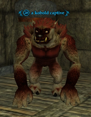 a kobold captive | EverQuest 2 Wiki | Fandom