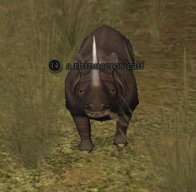 A rhinoceros calf | EverQuest 2 Wiki | Fandom