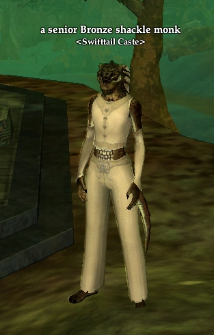 A senior Bronze shackle monk | EverQuest 2 Wiki | Fandom