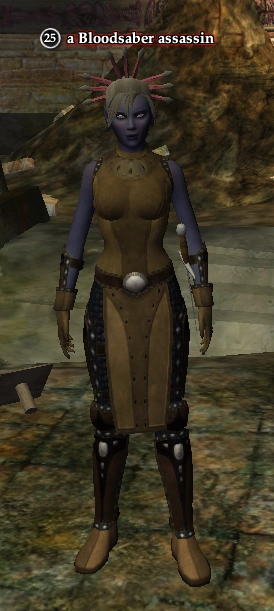 A Bloodsaber assassin | EverQuest 2 Wiki | Fandom