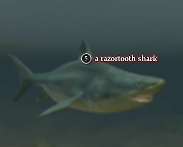 A razortooth shark | EverQuest 2 Wiki | Fandom