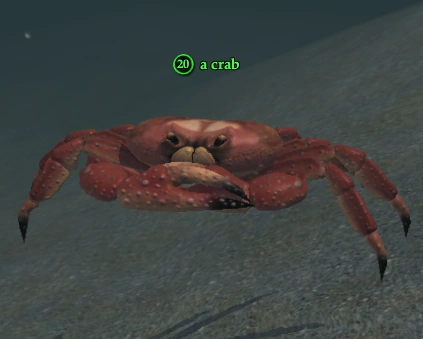 A crab | EverQuest 2 Wiki | Fandom
