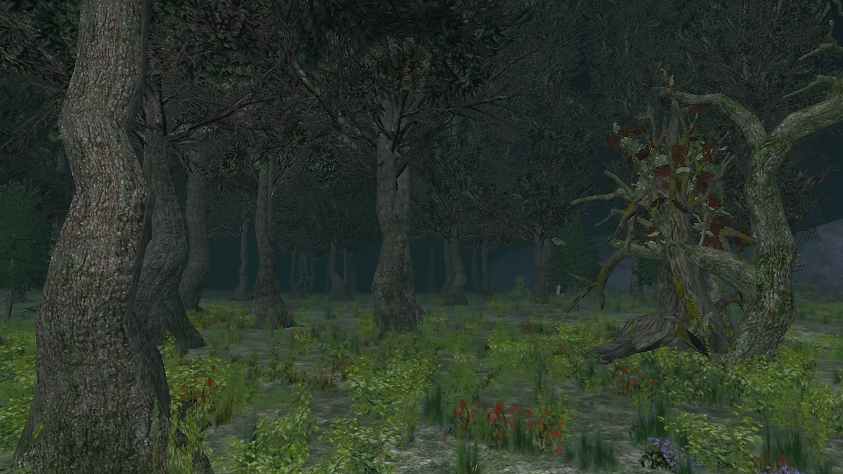 Forgotten Woods | EverQuest 2 Wiki | Fandom