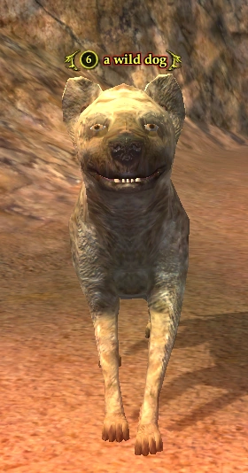 A wild dog | EverQuest 2 Wiki | Fandom