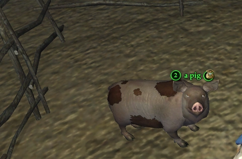 a pig | EverQuest 2 Wiki | Fandom