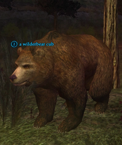 A wilderbear cub | EverQuest 2 Wiki | Fandom