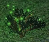 Foraging under Kelethin | EverQuest 2 Wiki | Fandom