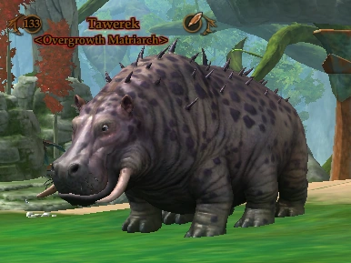 Tawerek | EverQuest 2 Wiki | Fandom