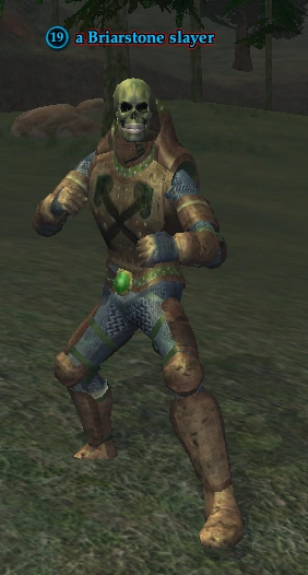 A Briarstone slayer | EverQuest 2 Wiki | Fandom
