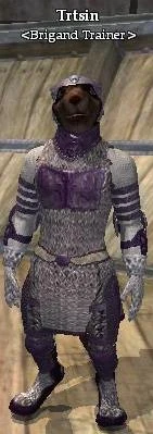 Category:The City of Freeport Brigand Trainer NPCs | EverQuest 2 Wiki ...