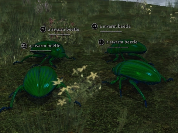 A swarm beetle | EverQuest 2 Wiki | Fandom