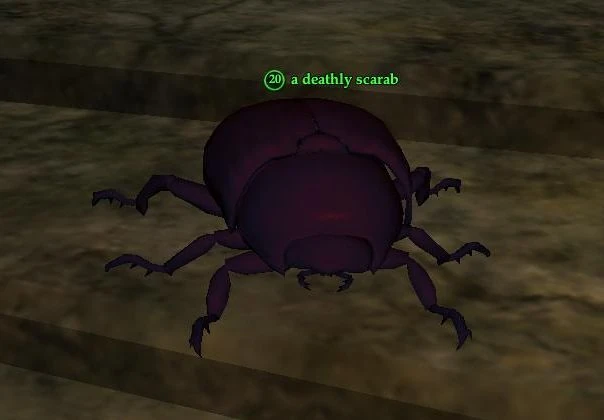 a deathly scarab | EverQuest 2 Wiki | Fandom