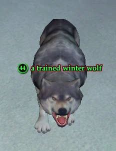 A trained winter wolf | EverQuest 2 Wiki | Fandom