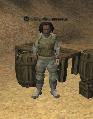 A Dervish assassin | EverQuest 2 Wiki | Fandom