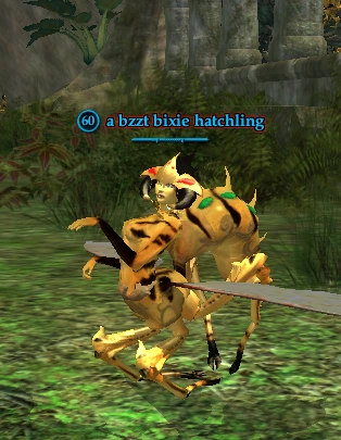 A bzzt bixie hatchling | EverQuest 2 Wiki | Fandom