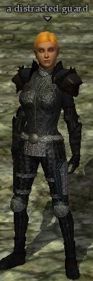 A distracted guard | EverQuest 2 Wiki | Fandom