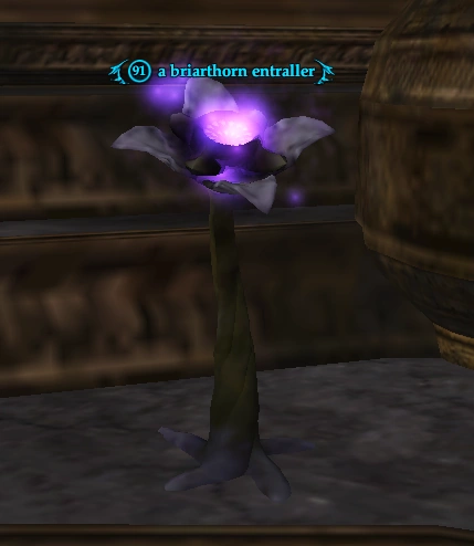 A briarthorn enthraller | EverQuest 2 Wiki | Fandom