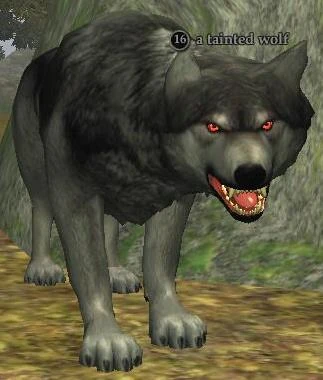 a tainted wolf | EverQuest 2 Wiki | Fandom