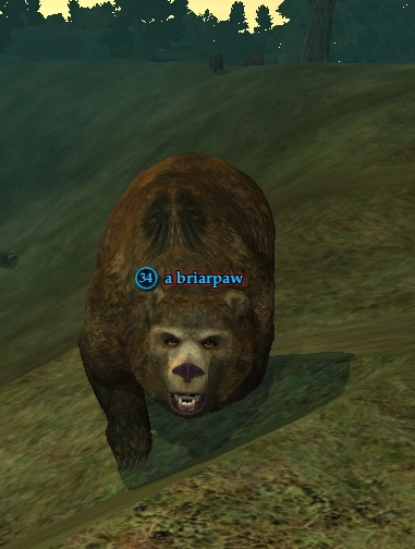 A briarpaw | EverQuest 2 Wiki | Fandom