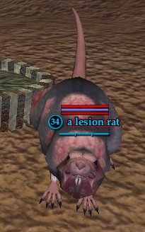 A lesion rat | EverQuest 2 Wiki | Fandom
