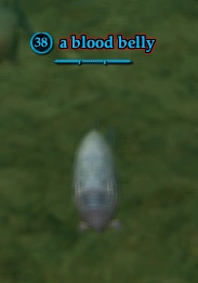 A blood belly | EQ2Classic Wiki | Fandom