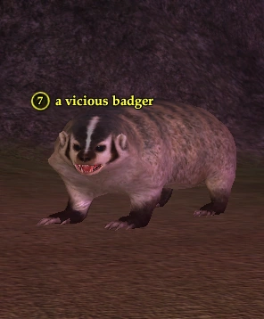 A vicious badger | EQ2Classic Wiki | Fandom