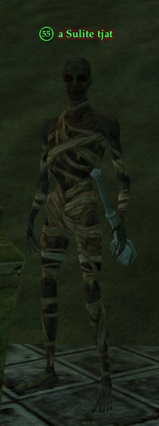 a Sulite tjat | EQ2Classic Wiki | Fandom