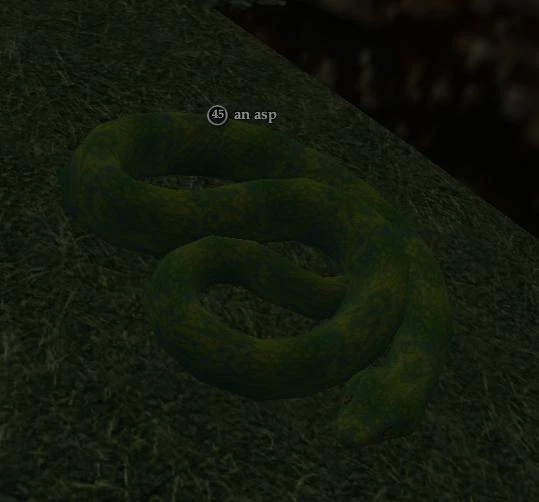 an asp | EQ2Classic Wiki | Fandom