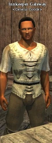 Innkeeper Galsway | EQ2Classic Wiki | Fandom