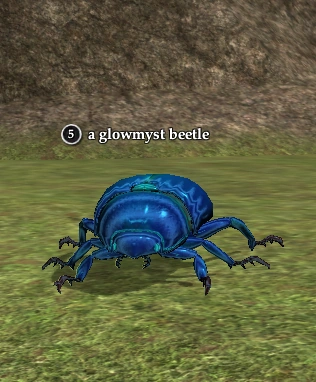 A glowmyst beetle | EQ2Classic Wiki | Fandom