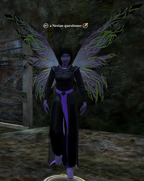 A Nerian Questioner Eq2classic Wiki Fandom
