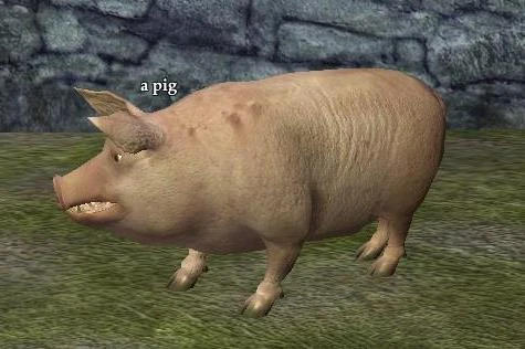 a pig | EQ2Classic Wiki | Fandom