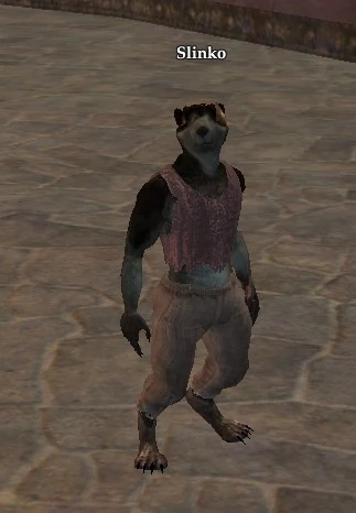 Slinko | EQ2Classic Wiki | Fandom