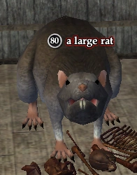 A large rat | EQ2Classic Wiki | Fandom