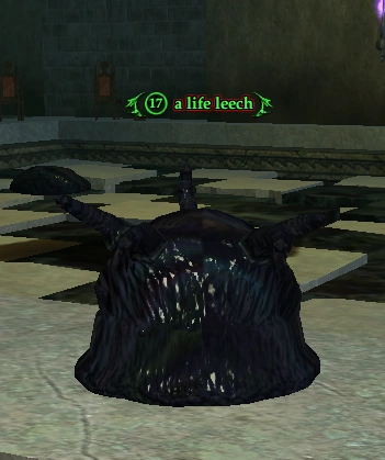 A life leech | EQ2Classic Wiki | Fandom