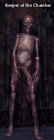Keeper of the Chamber (NPC) | EQ2Classic Wiki | Fandom