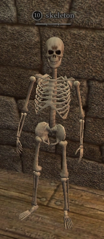 skeleton | EQ2Classic Wiki | Fandom