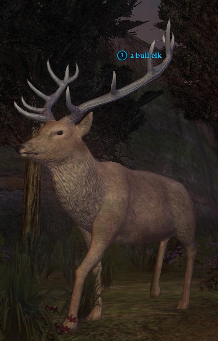 A bull elk | EQ2Classic Wiki | Fandom