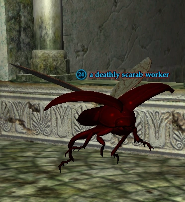 Category:The Deathly Scarab Hive Monsters | EQ2Classic Wiki | Fandom